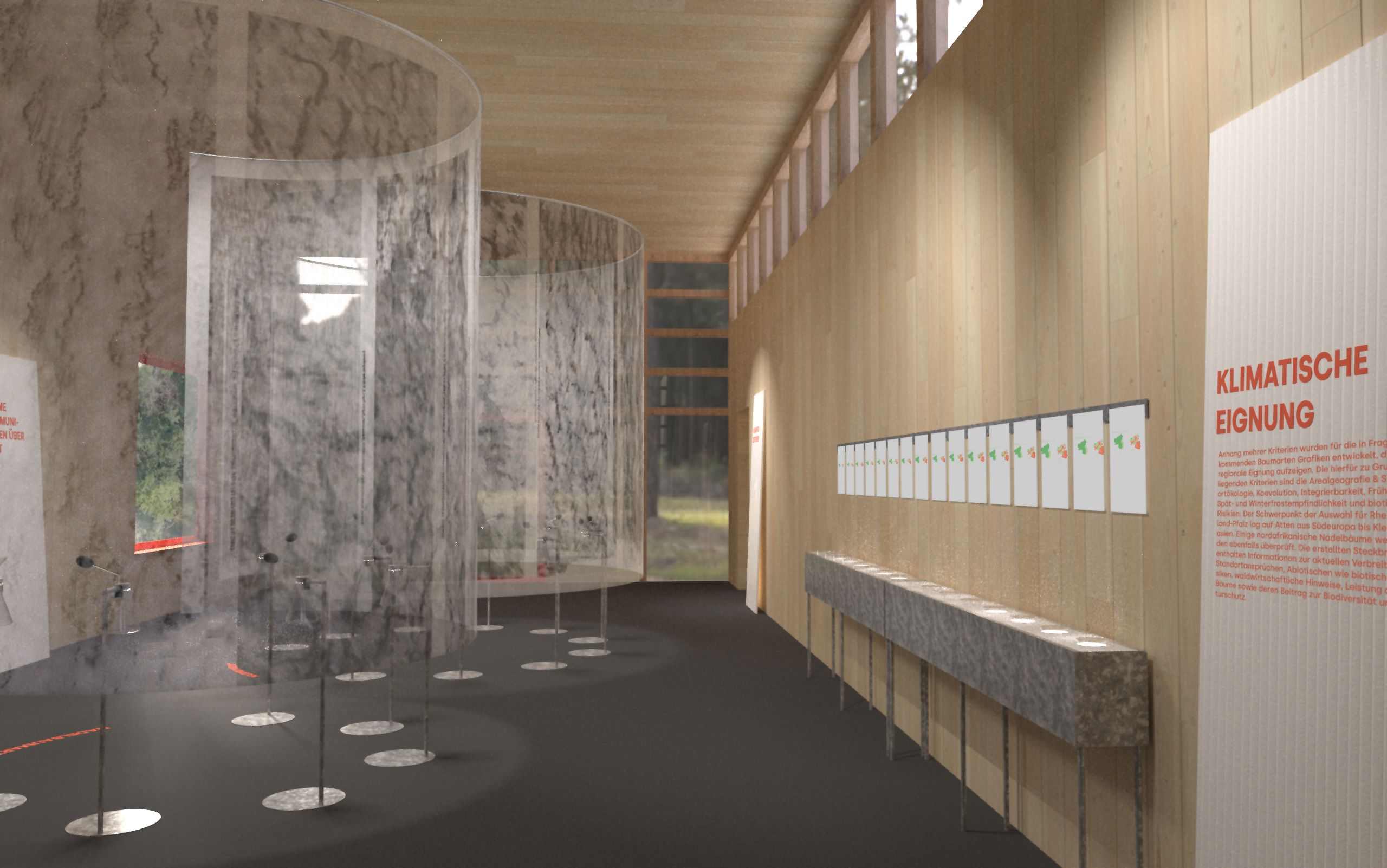 Projekt: Wald im Wandel – Hochschule der Bildenden Künste Saar / HBKsaar